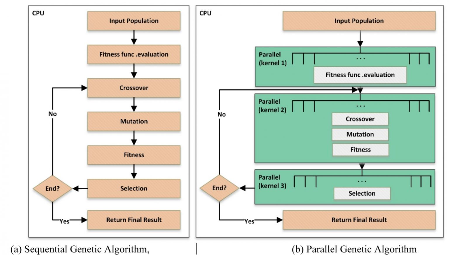 How Genetic Algorithms are Shaping AI and ML