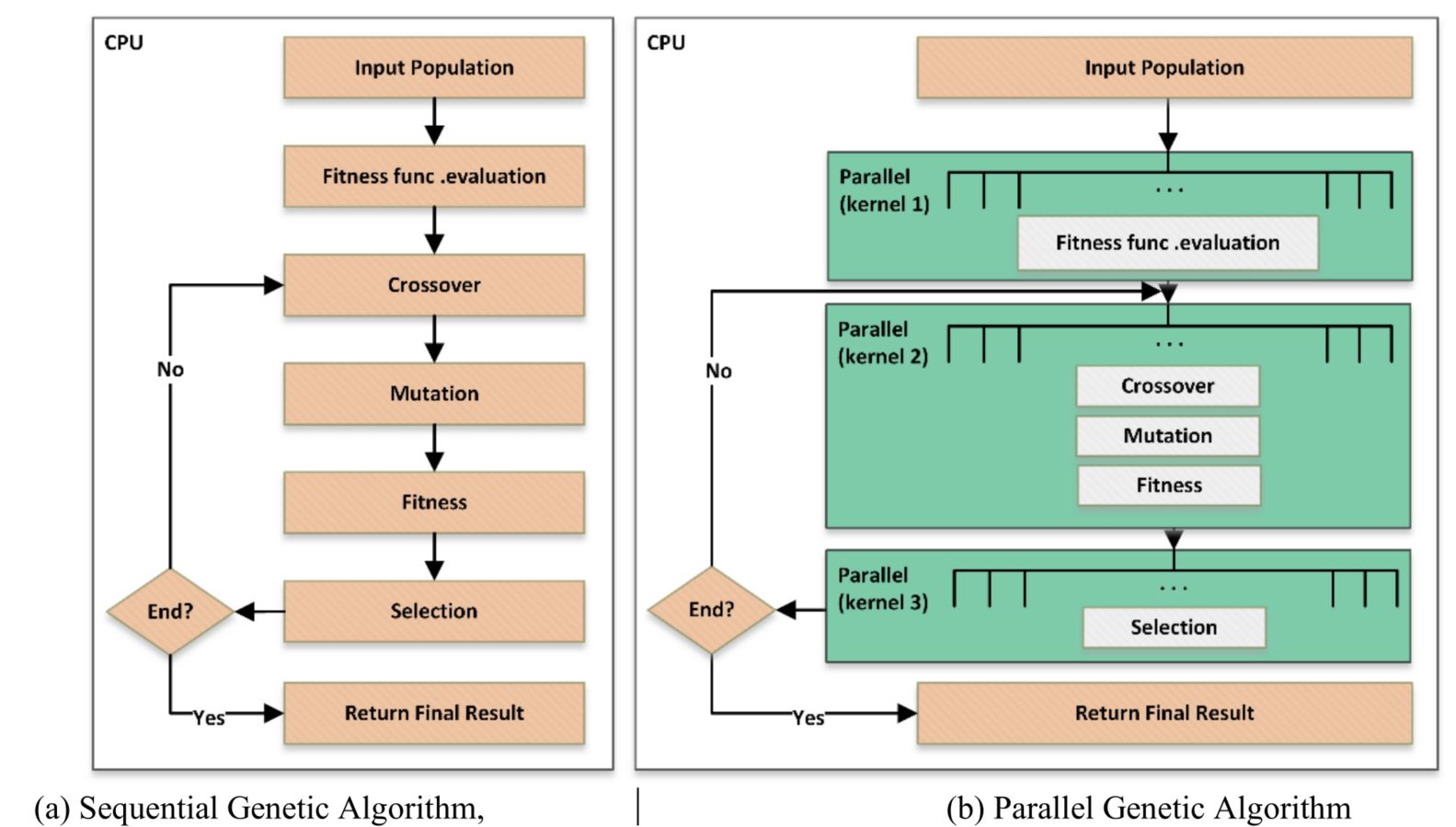 How Genetic Algorithms are Shaping AI and ML