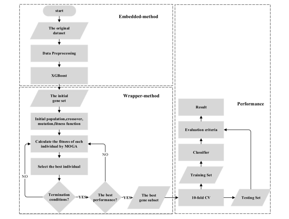How Genetic Algorithms are Shaping AI and ML